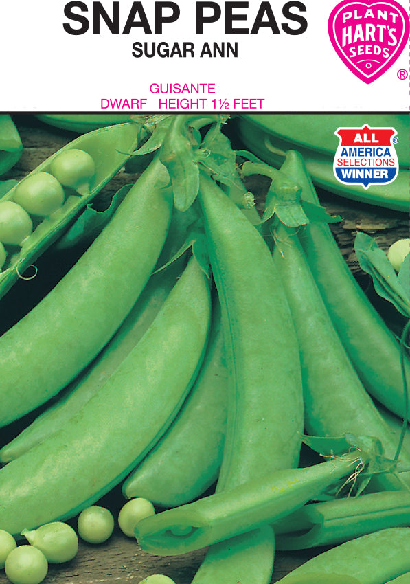 Pea Sugar Ann Snap – Plants Hart's Seeds
